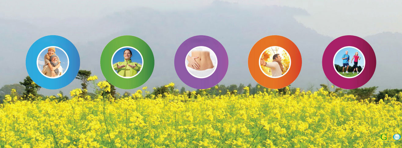 Haarlem Oil and Capsules Haarlem for Humans and Horses