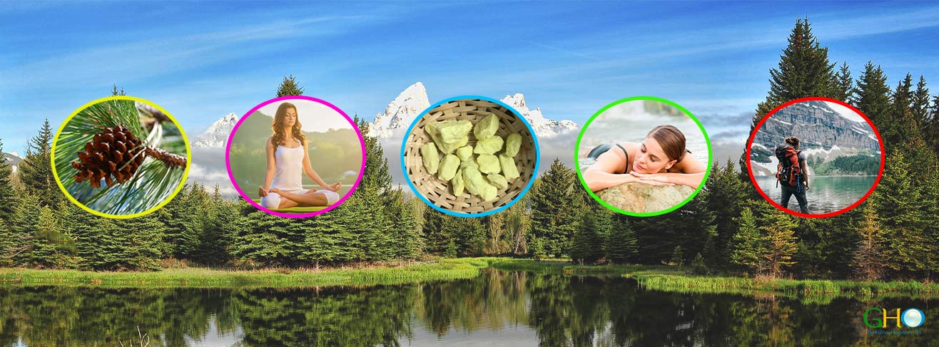 Haarlem oil capsules provide a organic bioavailable Sulfur.